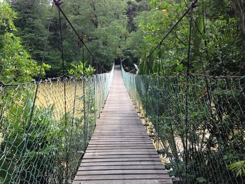 Best Hikes and Trails in Taman Negara Similajau | AllTrails