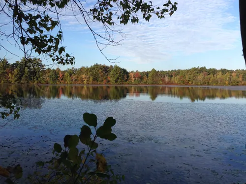 Best Hikes and Trails in Burrage Pond Wildlife Management Area | AllTrails