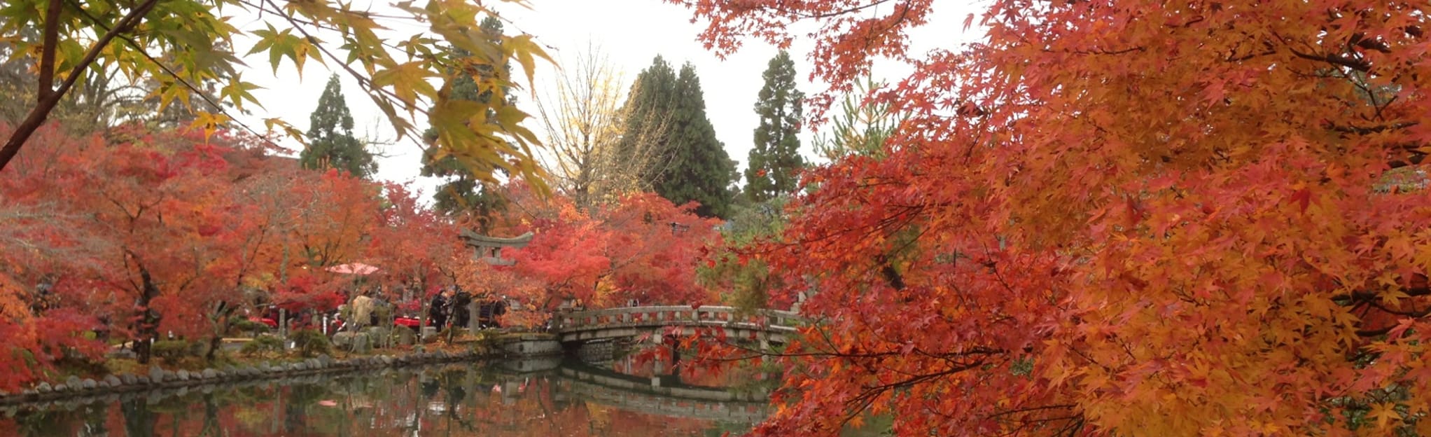 Ginkaku-ji Temple - Honen-in Temple - Eikando Zenrin-ji Temple: 13 ...