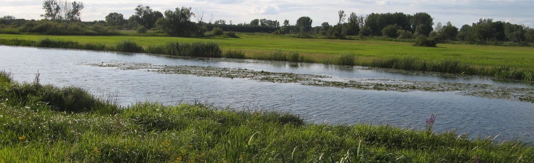 AllTrails | Didactic Path Pyzdry - Białobrzeg: 1 Reviews, Map - Greater ...