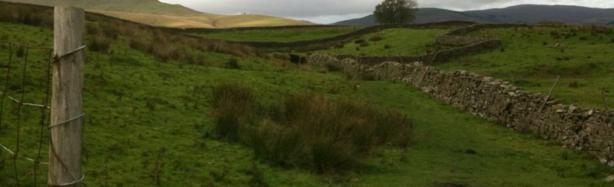 Hawes to Red Squirrel, North Yorkshire, England - 8 Reviews, Map ...