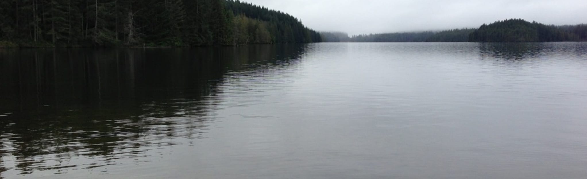 Haslam Lake South Trail - British Columbia, Canada | AllTrails