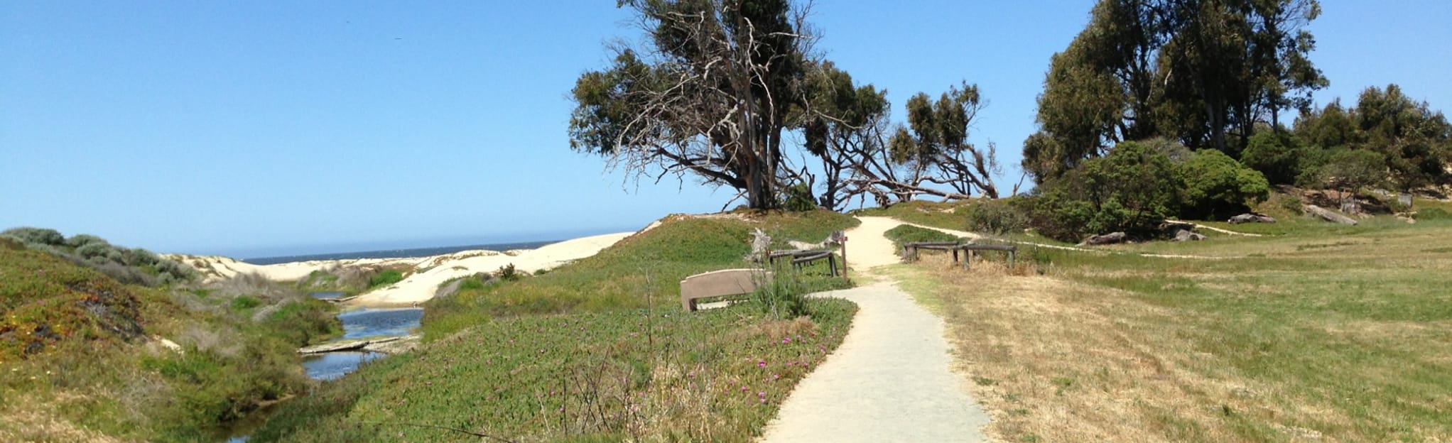 5 Cities Coast Walk, California - 81 Reviews, Map | AllTrails