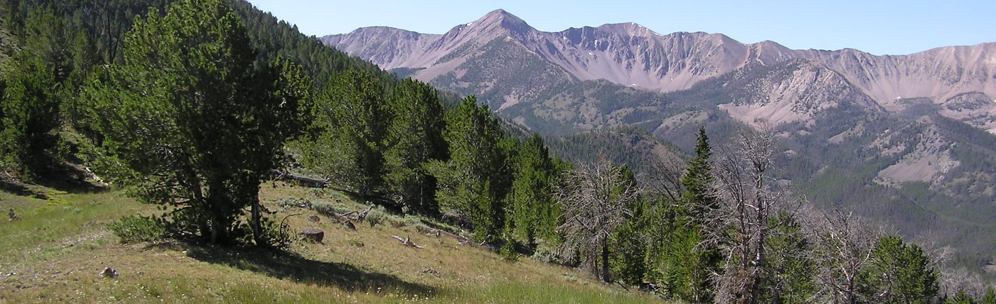 Big Creek Loop Trail, 6 Fotos - Idaho | AllTrails