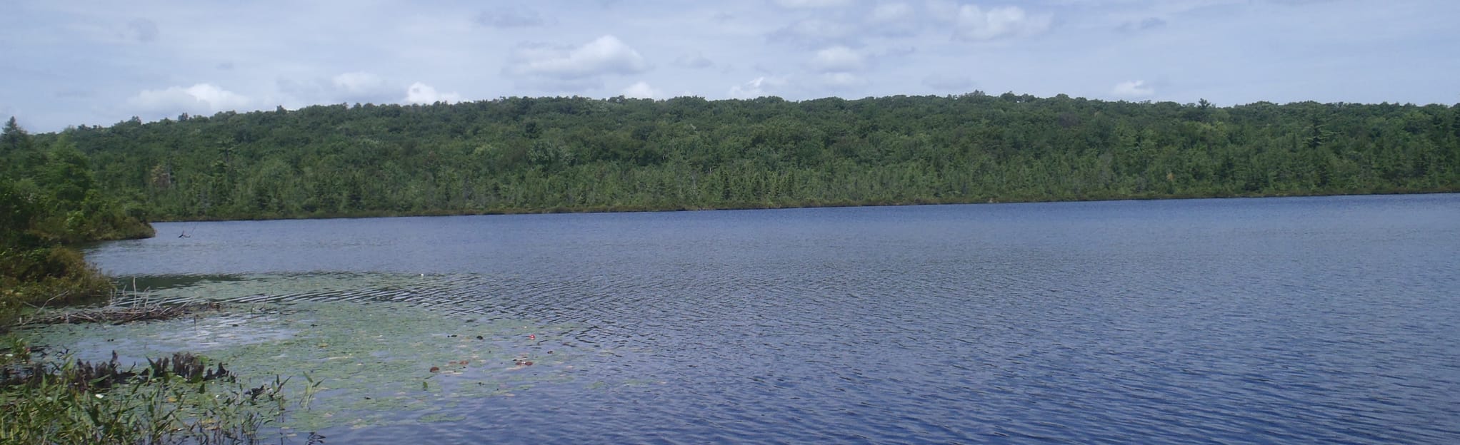 Little Mud Pond Trail, Pennsylvania - 12 Reviews, Map | AllTrails