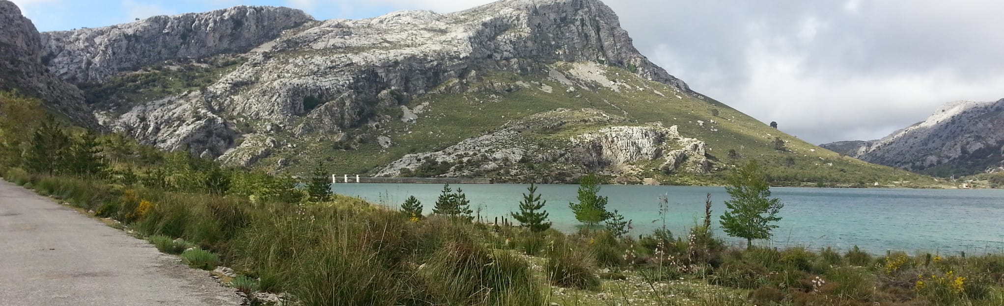 Cúber Reservoir: 242 foto - Majorca, Spagna | AllTrails