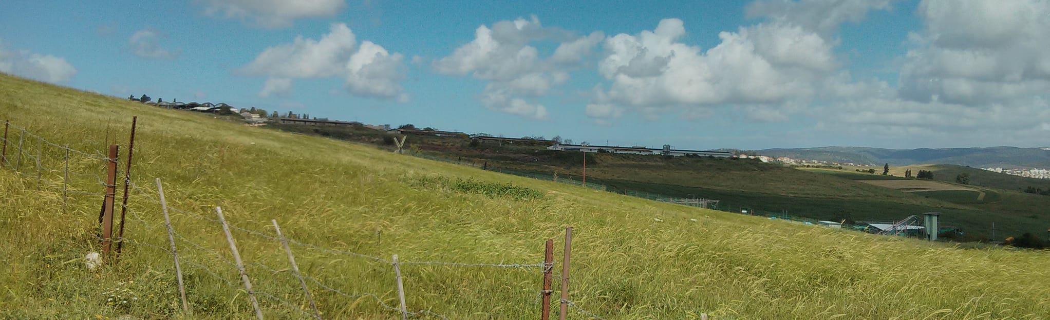 Eastern Ramat HaShofet and Ein HaShofet Forest: 19 Photos - Northern ...