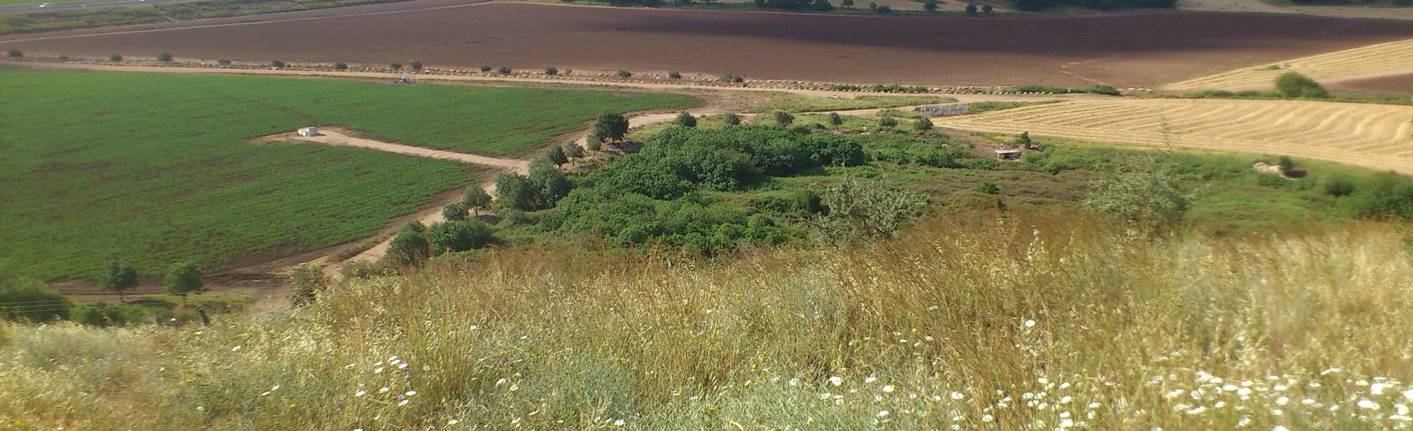 Kiryat Ata Forest, Usha HaHatika and Yossi Moadi Lookout, 48 Fotos ...