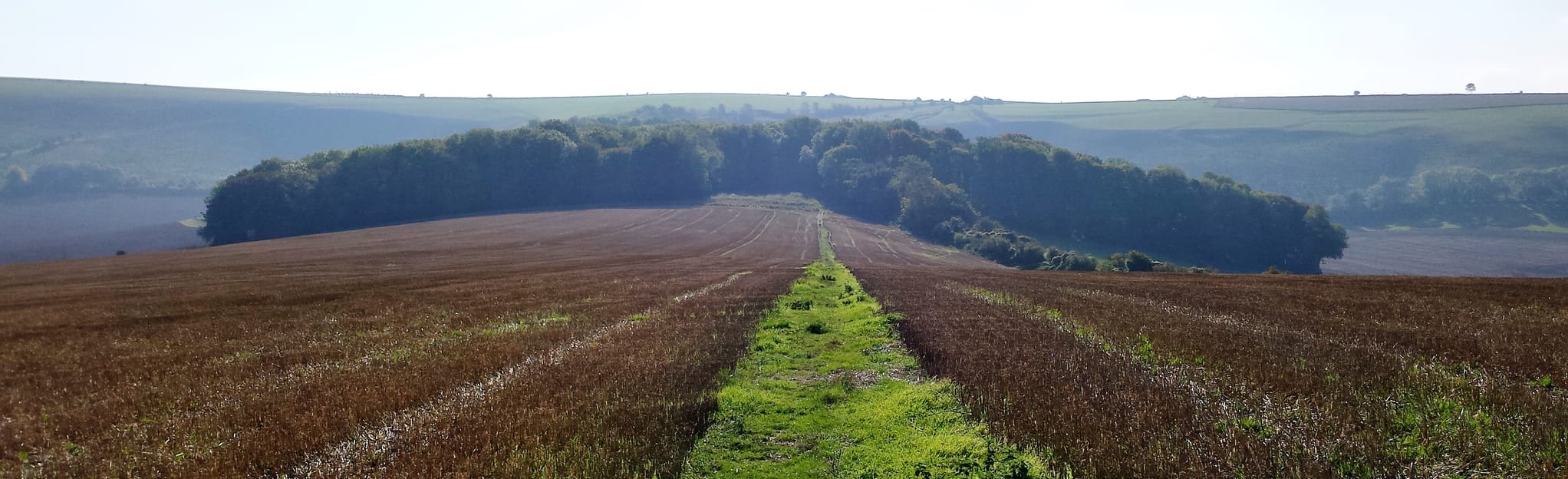 Turnworth and the Wessex Ridgeway: 24 Reviews, Map - Dorset, England ...