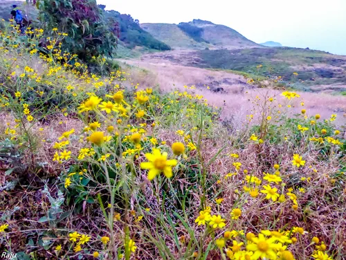 Best Cave Trails in Akole | AllTrails