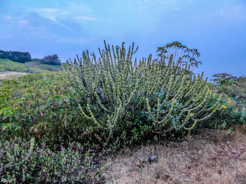 Best Cave Trails in Akole | AllTrails