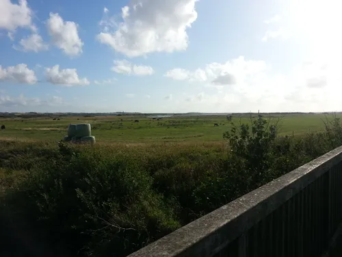 10 Best Easy Trails in Skjern Enge | AllTrails