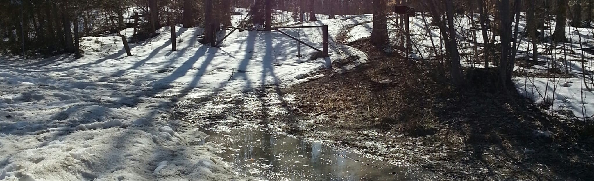 Maple Keys Sugar Bush Short Loop Trail , Ontario, Canada - 12 Reviews ...