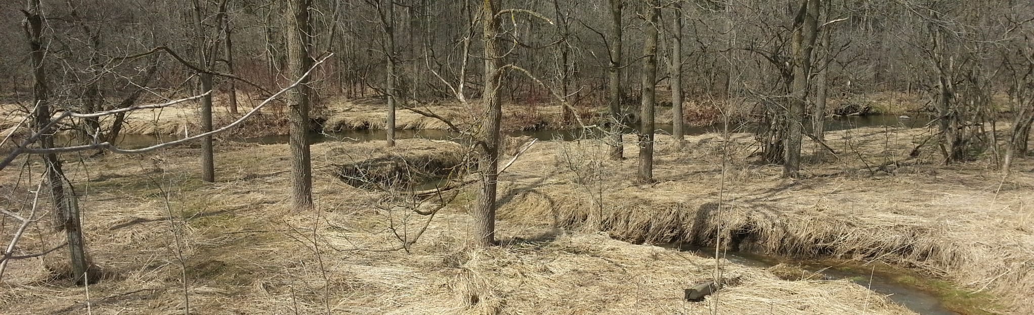 Goderich to Guelph Rail Trail: 54 Reviews, Map - Ontario, Canada ...