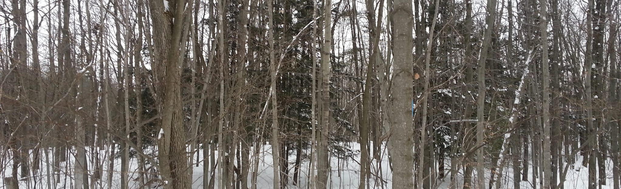 Hullett Marsh Blue Trail: 24 Reviews, Map - Ontario, Canada | AllTrails