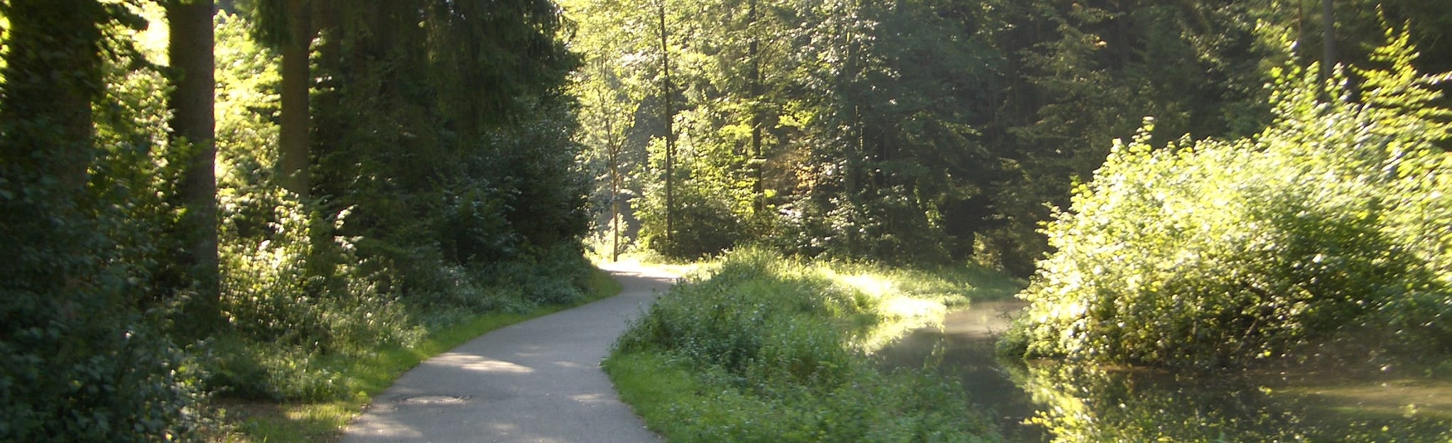 Frankenweg stage 11: Pottenstein - Obertrubach: 3 Reviews, Map ...