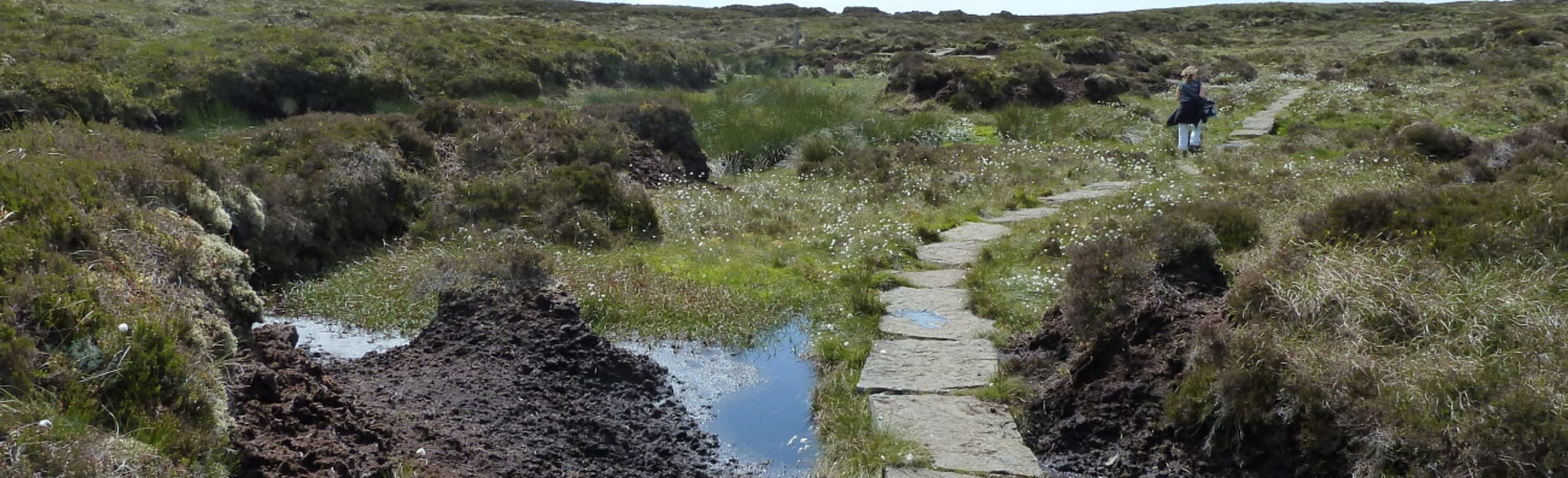 Source of the Severn Trail, Powys, Wales - 57 Reviews, Map | AllTrails