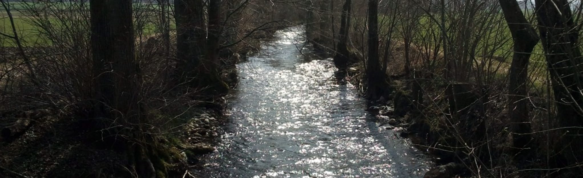 Roggwil - Kaltenherberg, Bern, Switzerland - Map, Guide | AllTrails