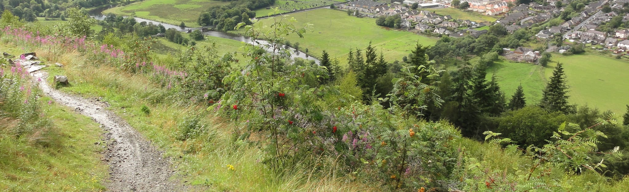 Innerleithen Red Circular, Scottish Borders, Scotland - 23 Reviews, Map ...