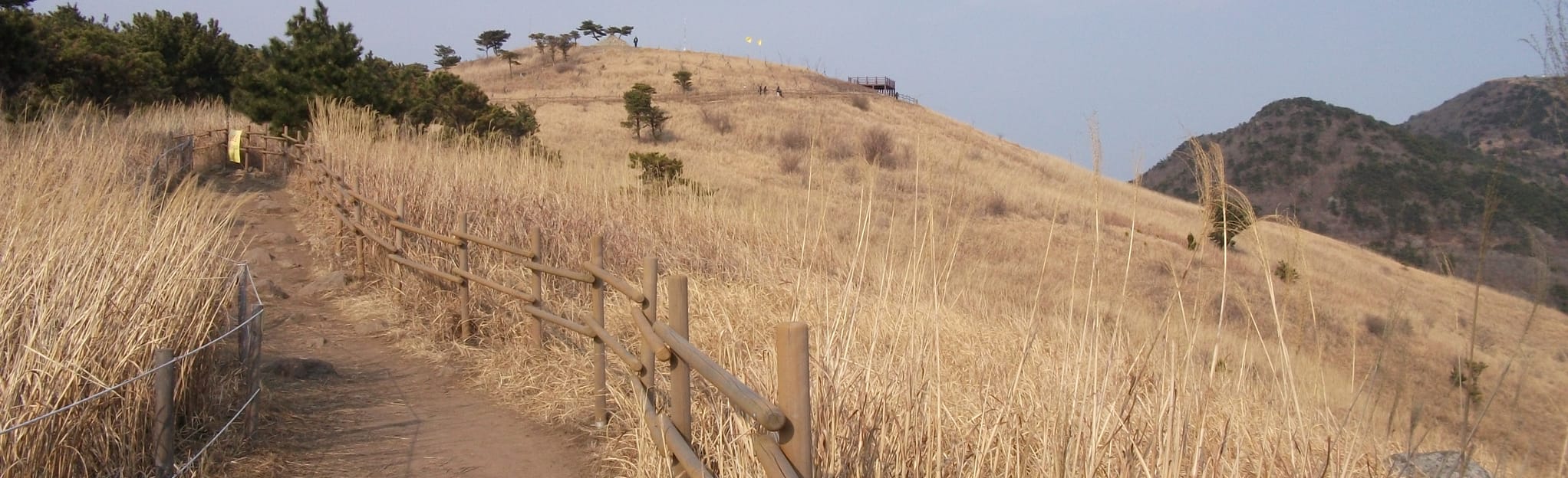 Seunghaksan Loop: 8 Reviews, Map - Busan, South Korea | AllTrails