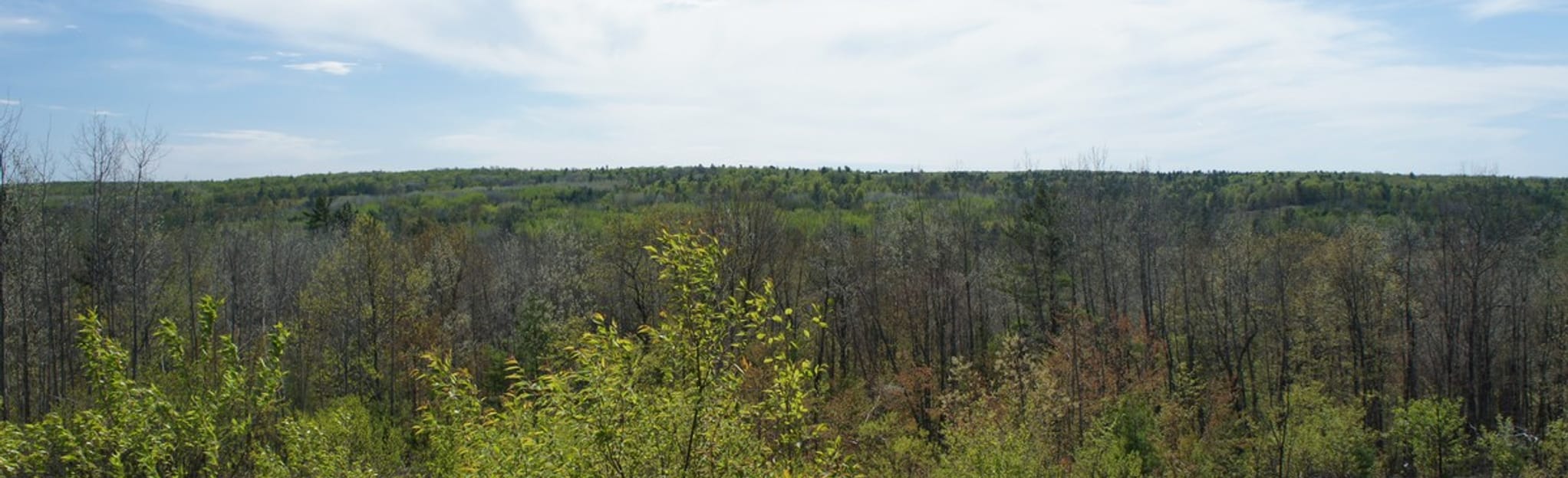 High Country Pathway, Michigan - 22 Reviews, Map | AllTrails