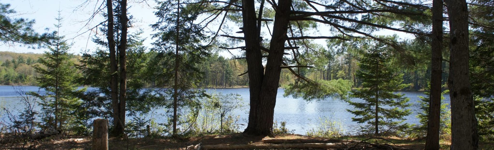 High Country Pathway Hike: 20 Reviews, Map - Michigan | AllTrails