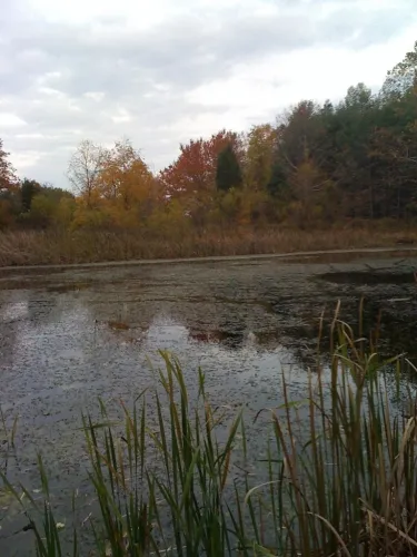 Best Hikes and Trails in Rust Nature Sanctuary | AllTrails