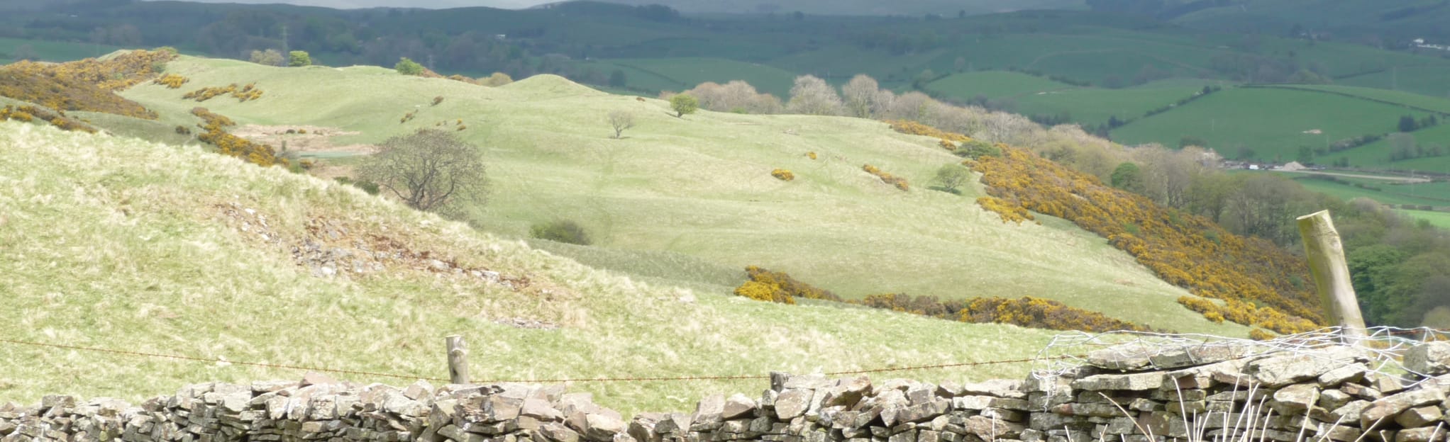 Oxenholme and The Helm Circular, Cumbria, England - 26 Reviews, Map ...