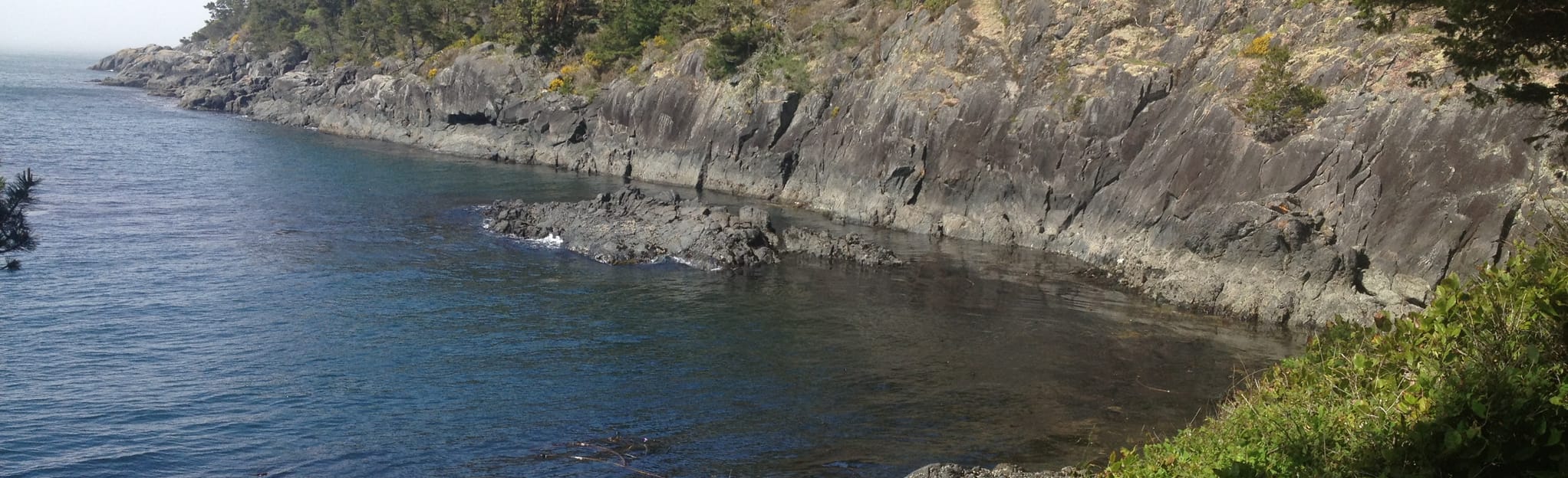 Beechey Head Loop: 348 Reviews, 1,208 Photos, Map - British Columbia ...