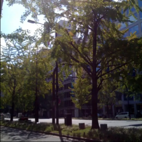 Best Hikes and Trails in Utsubo Park | AllTrails