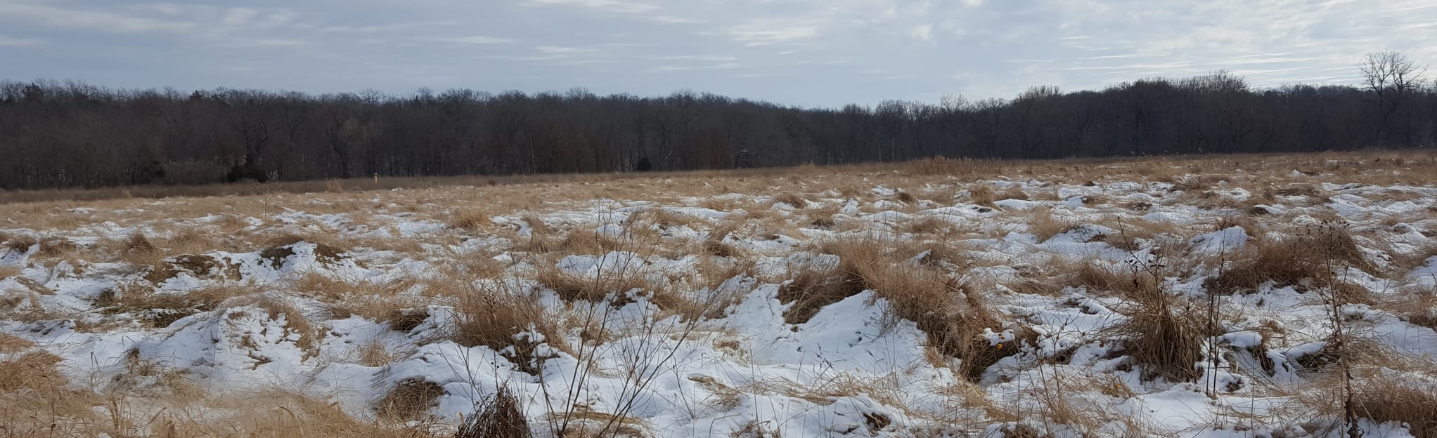 Little Blue Valley Trail, Missouri - 50 Reviews, Map | AllTrails