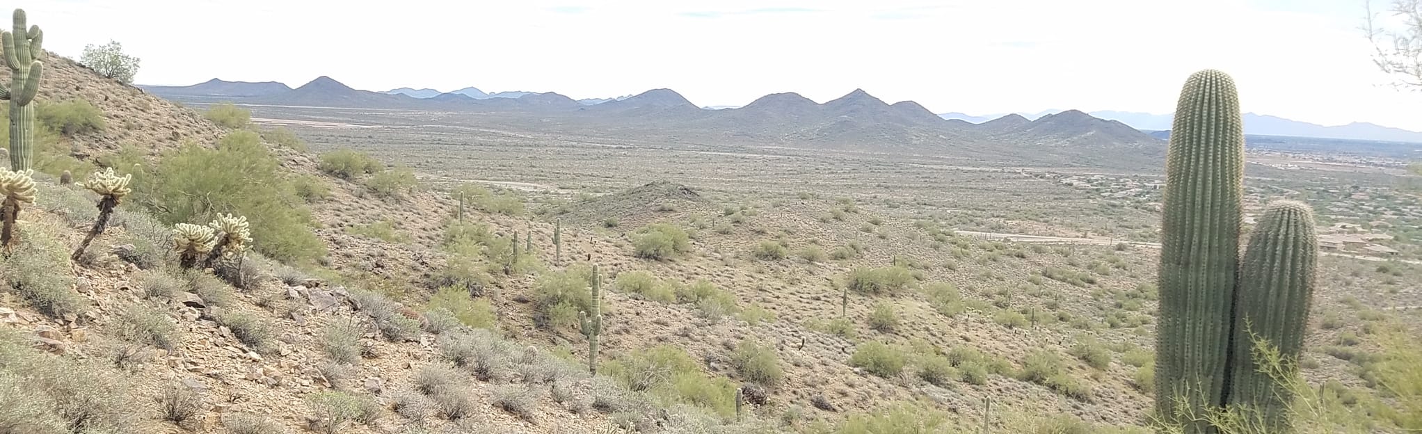 Sidewinder and North Tower Road Loop: 527 foto's - Arizona | AllTrails