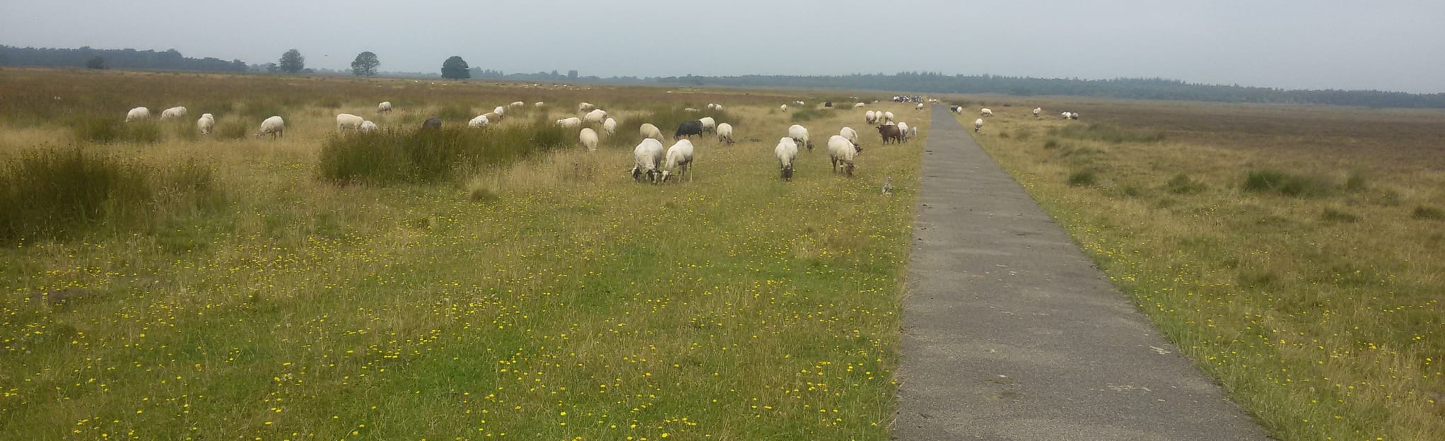 Fietsroute Hooghalen - Smilde, Drenthe, Netherlands - Map, Guide ...