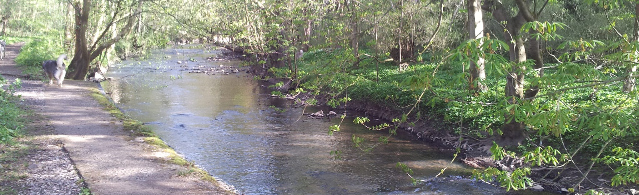 River Frome (Upstream), Bristol, England - 43 Reviews, Map | AllTrails