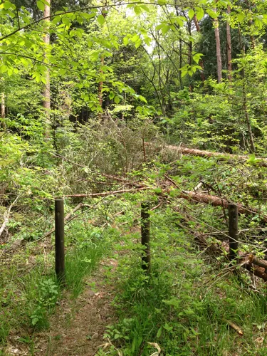 10 Best Trails and Hikes in Sendai | AllTrails