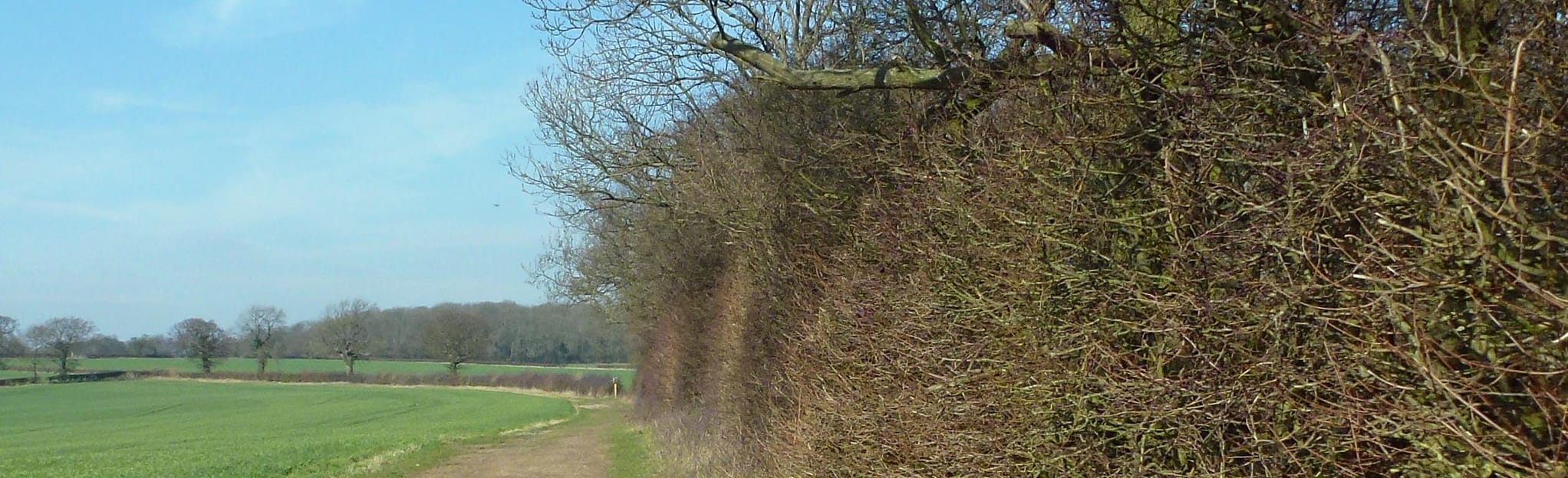 Epperstone - Halloughton Dumble Circular: 9 Reviews, Map ...