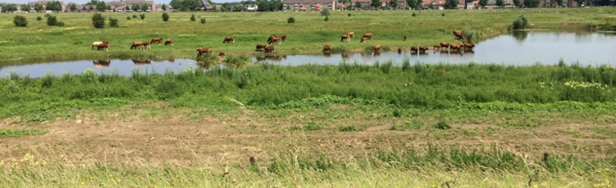 De Worp Groene Wandelroute: 37 foto's - Overijssel, Nederland ...