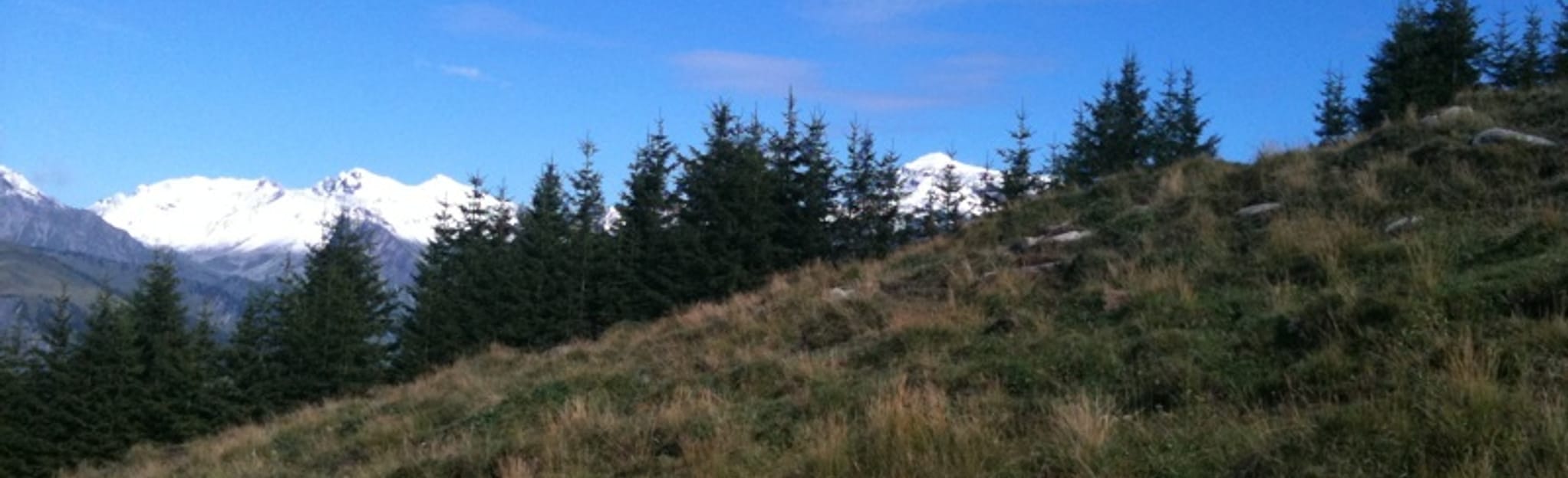 Fanas - Sassauna, Graubünden, Switzerland - Map, Guide | AllTrails