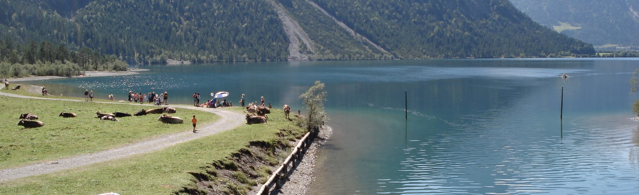 Rund um den Plansee, Tyrol, Austria - 33 Reviews, Map | AllTrails