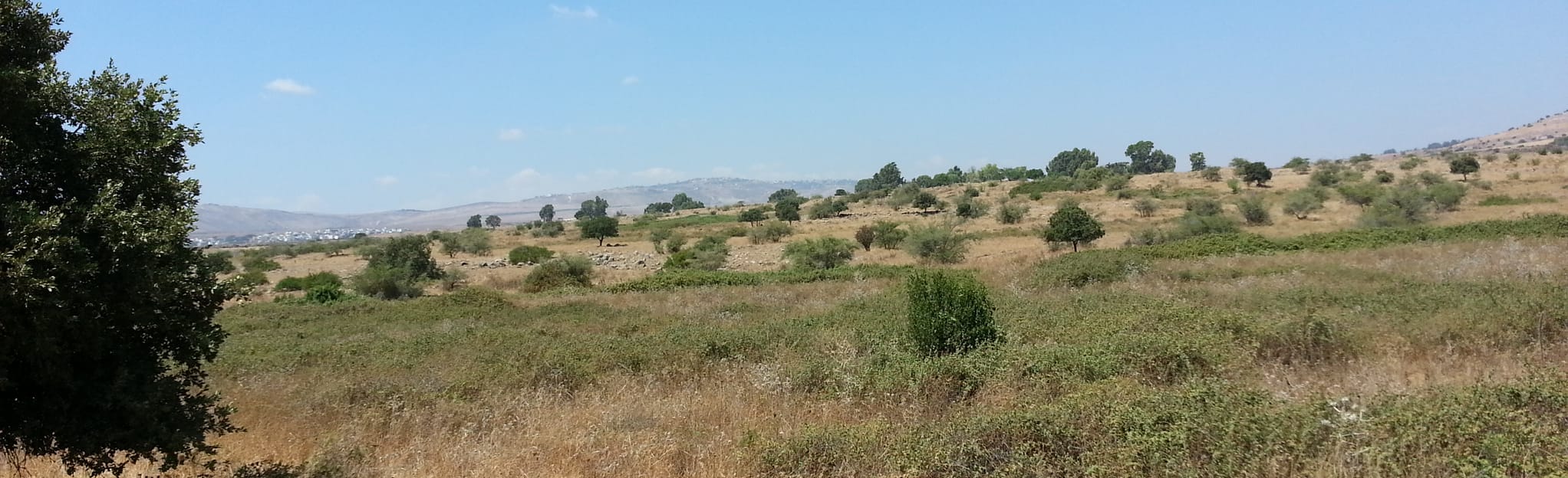 Tel Dan, Dan River and Dan Loop, Northern District HaZafon, Israel ...