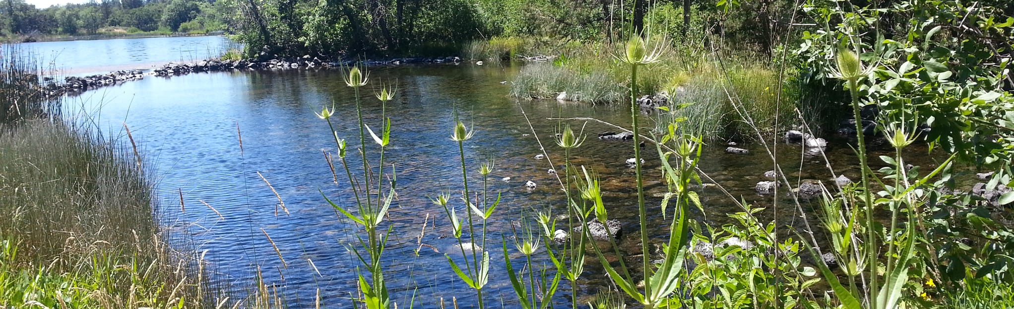 Lava Springs and Splatter Cone Trail [PRIVATE PROPERTY], California - 9 ...
