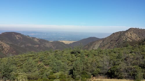 Best 10 Hikes and Trails in Mount Diablo State Park | AllTrails