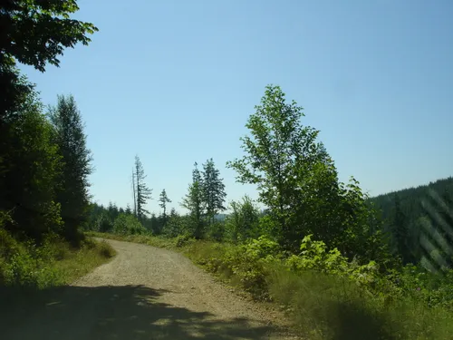 Best Hikes and Trails in Walker Valley ORV Recreational Area | AllTrails