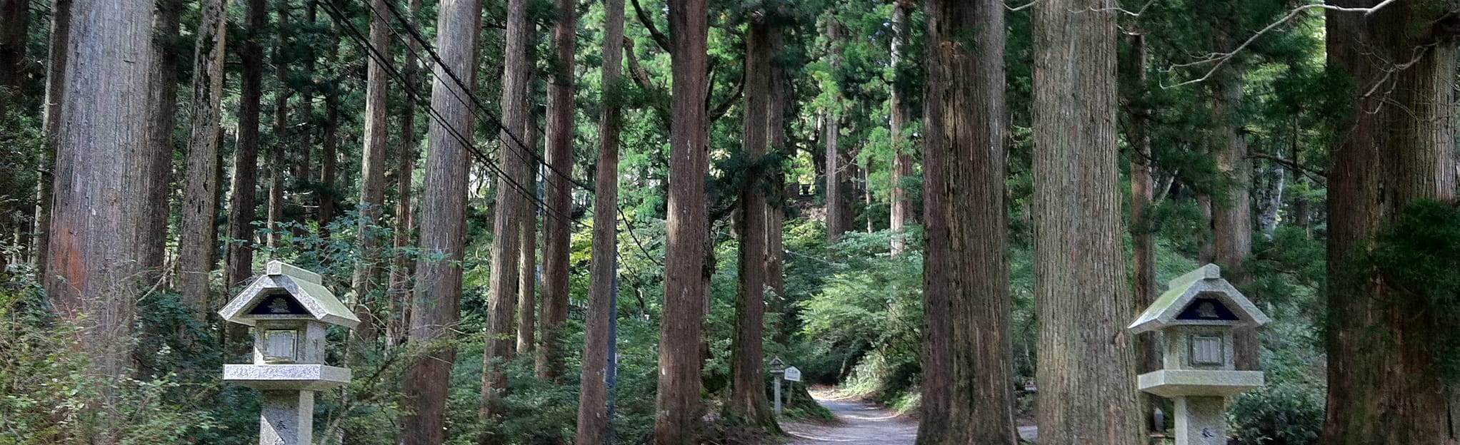 Mt. Kongo: Diamond Trail, Nara, Japan - Map, Guide | AllTrails