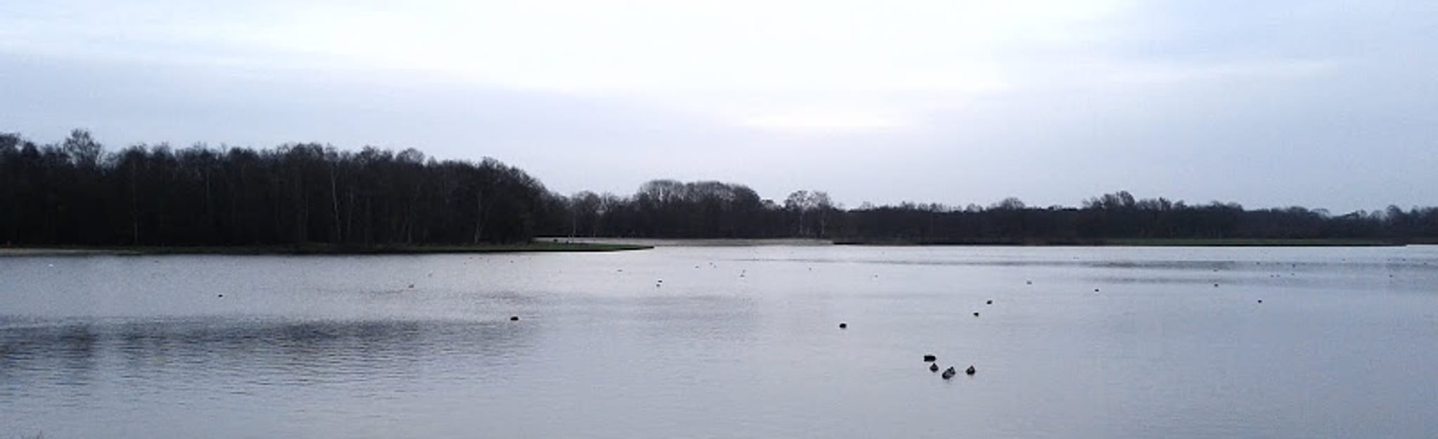 Het Rutbeek Groene Wandelroute, Overijssel, Netherlands - Map, Guide ...