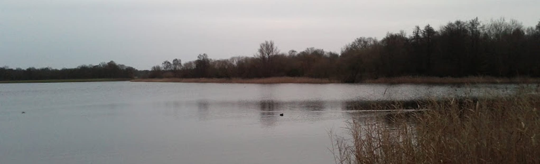 Het Rutbeek Blauwe Wandelroute, Overijssel, Netherlands - Map, Guide ...