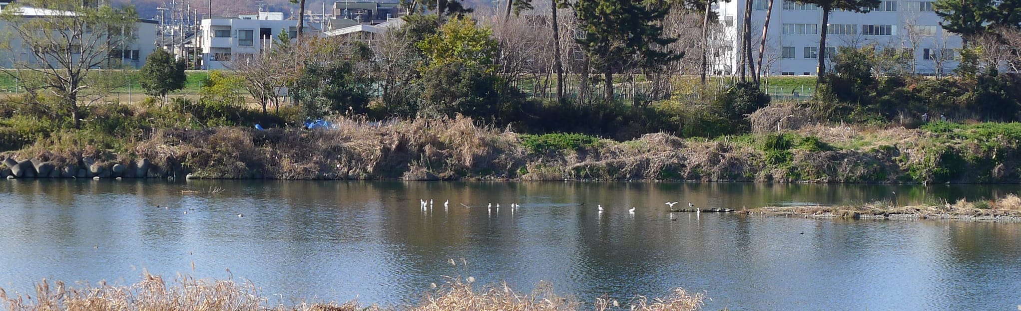 Tama Cycling Path: Tamagawa Kekkai Monument, Tokyo, Japan - Map, Guide ...