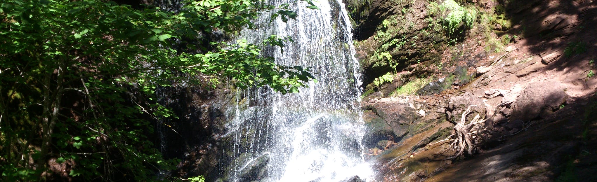 Fuller Falls: 25 Reviews, Map - New Brunswick, Canada | AllTrails