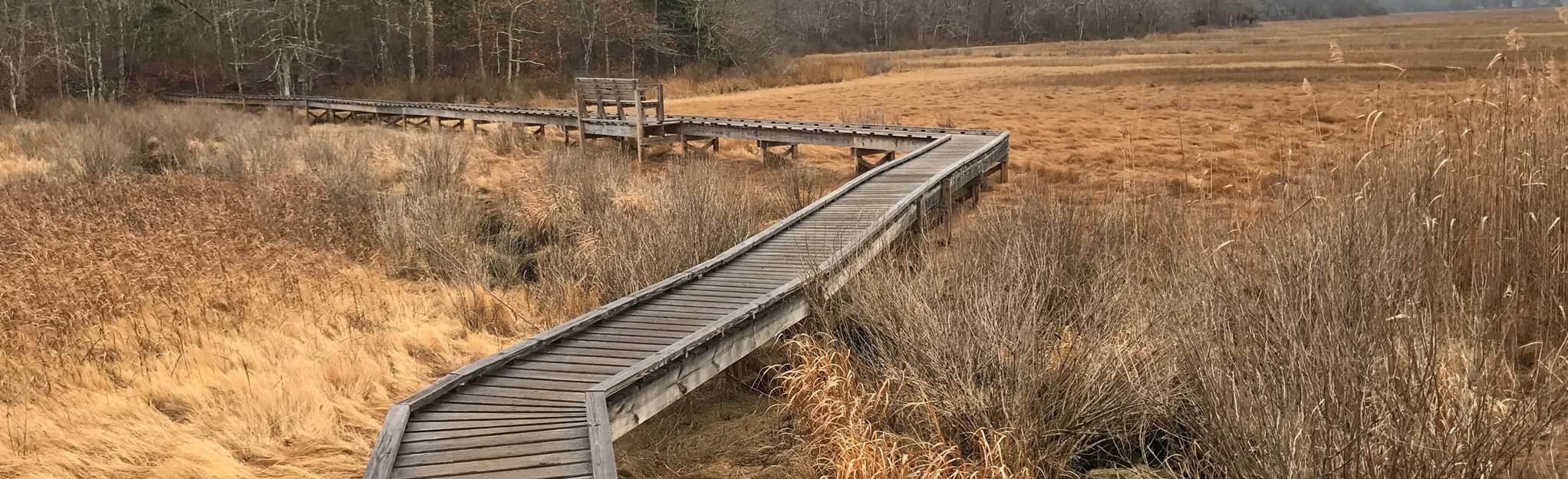 Cornell Farm Bridge, Massachusetts - 368 Reviews, Map | AllTrails