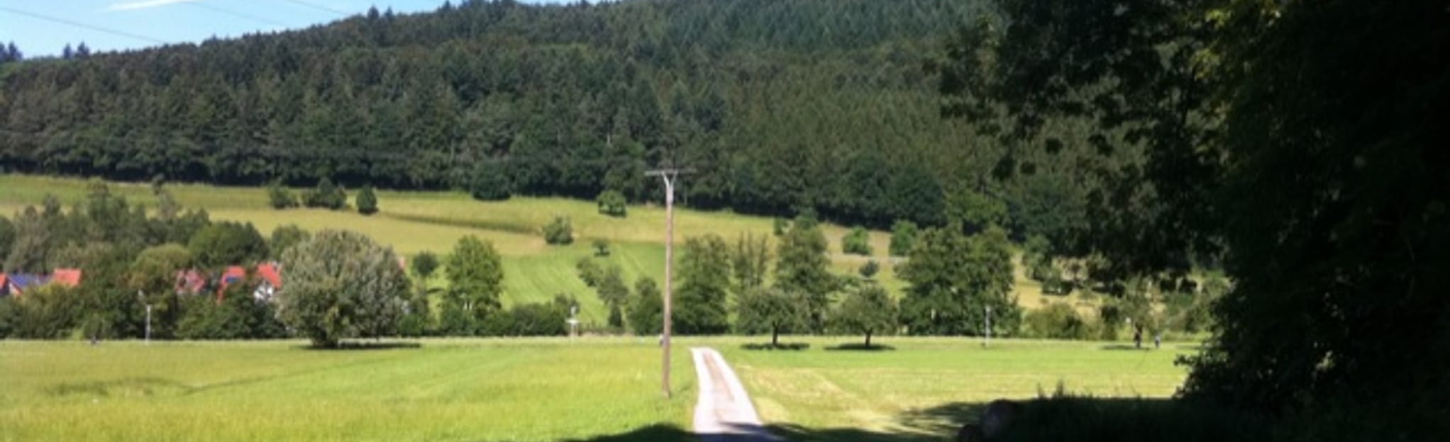 Wald- und Erlebnispfad "Bächlewald": 8 Fotos - Baden-Württemberg ...
